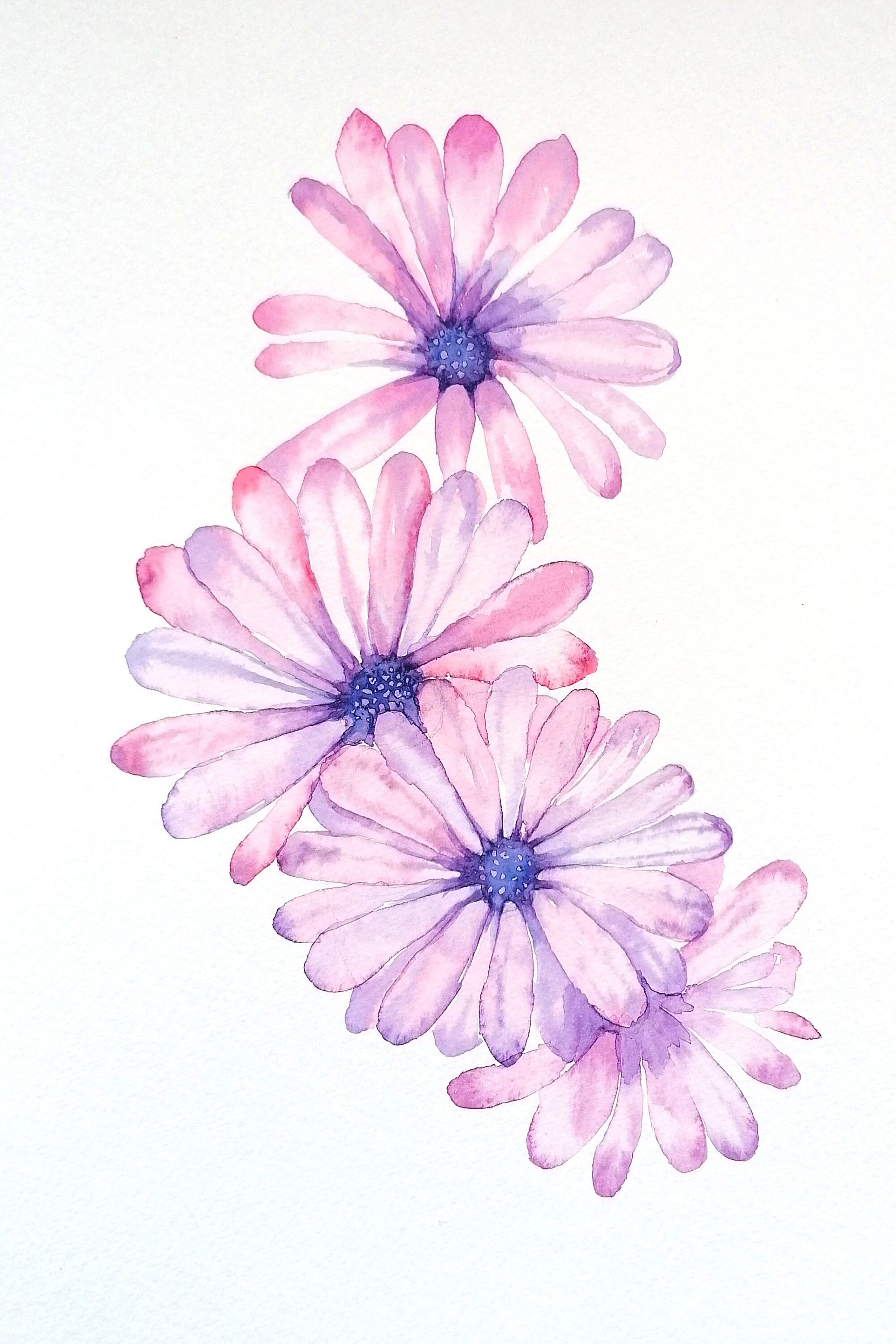 DAISY CHAIN, Flower Original Watercolour Painting by Geetapatelfineart ...