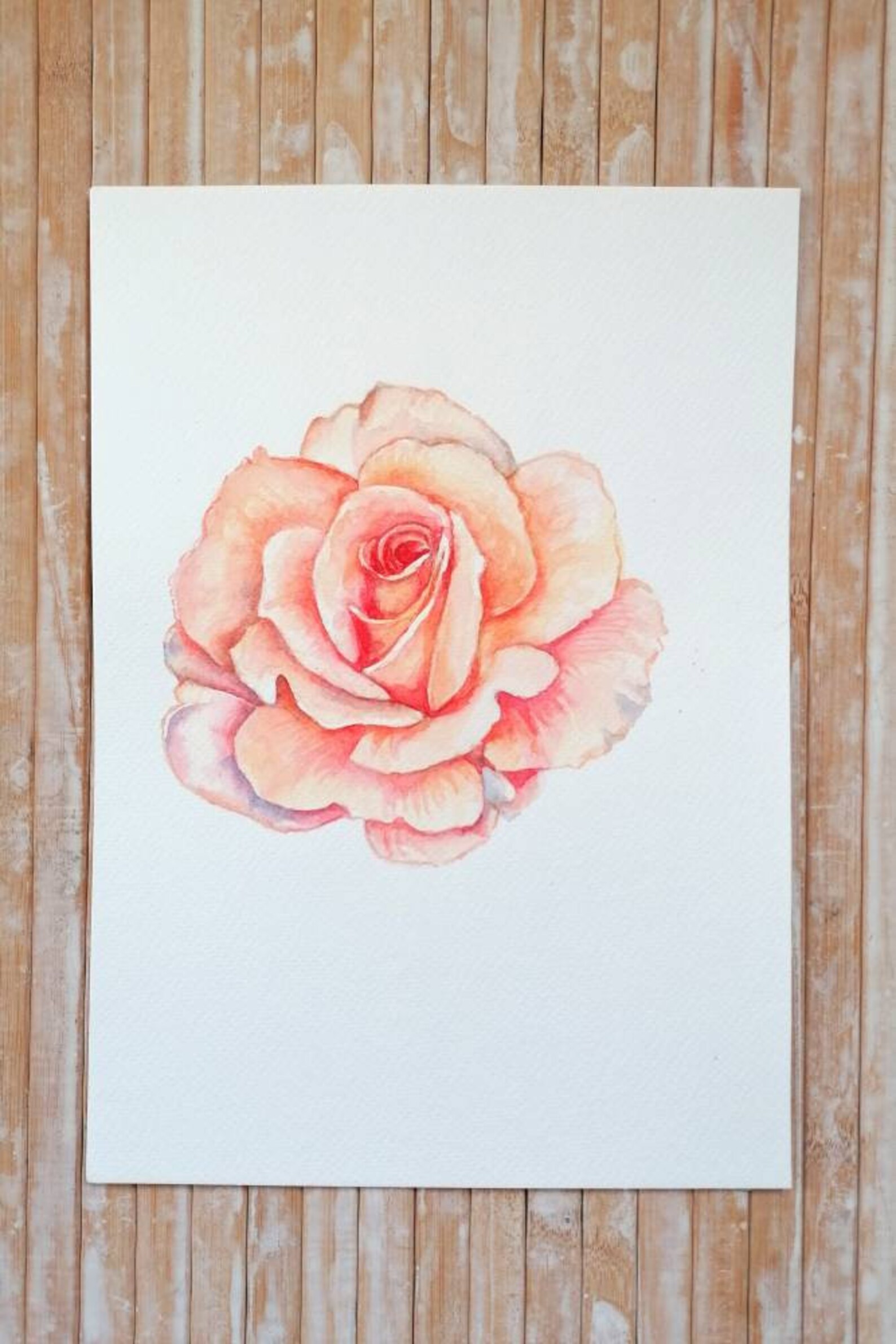 PEACH ROSE Flower Watercolour Original Painting by - Etsy UK
