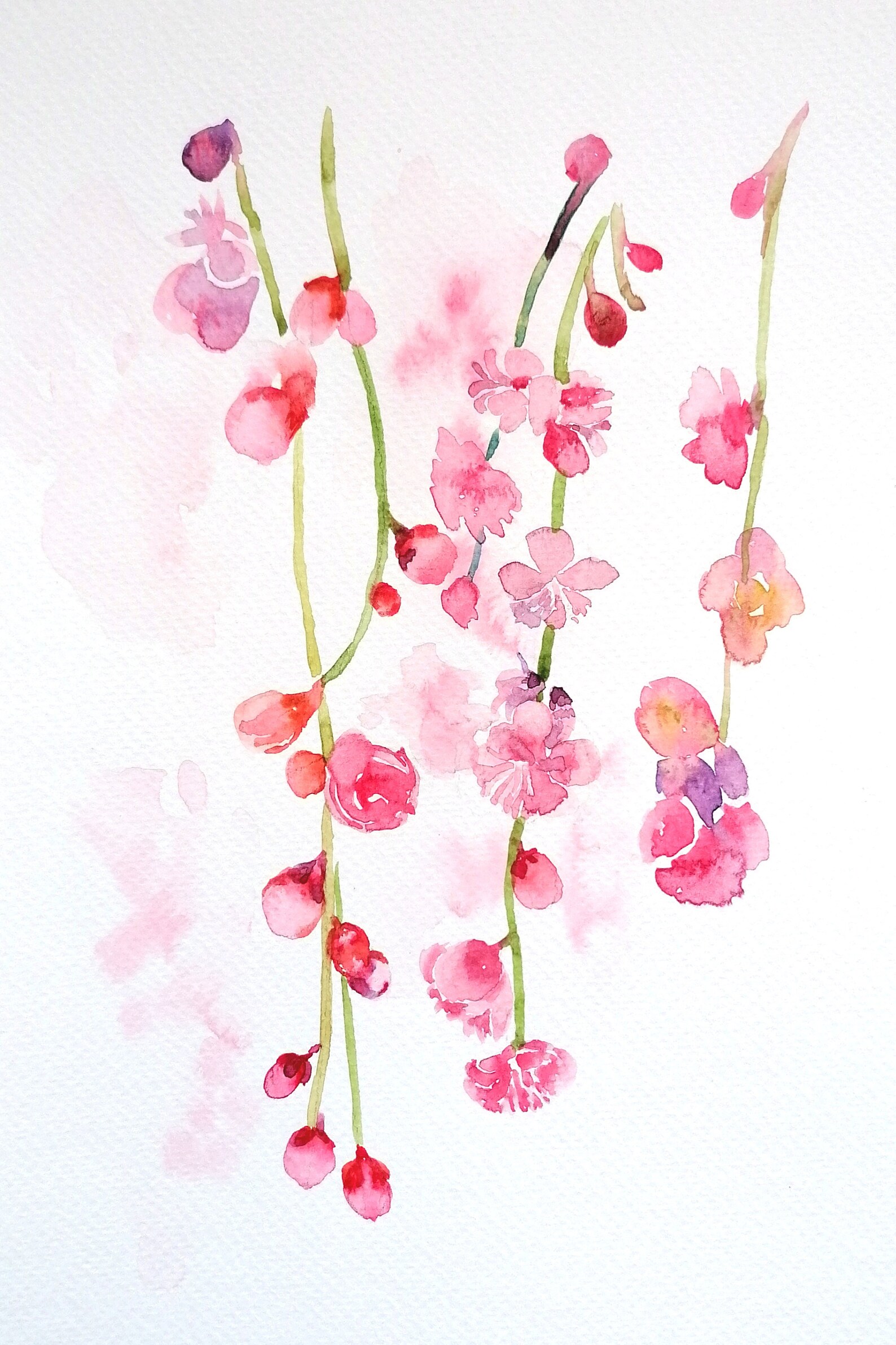Flower Watercolour Original Painting - CHERRY BLOSSOMS DESCENDING by ...