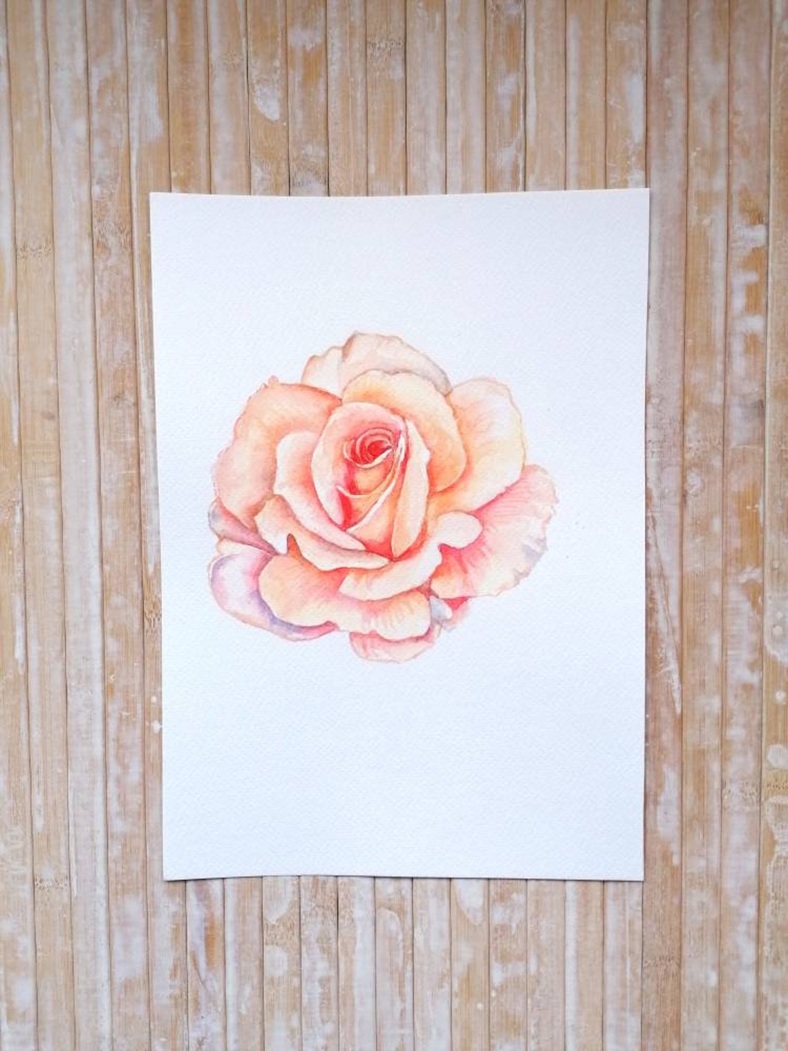 PEACH ROSE Flower Watercolour Original Painting by - Etsy UK