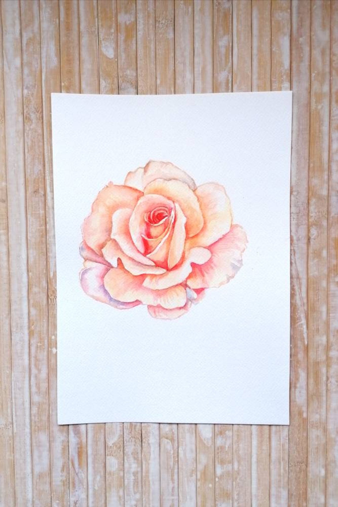 PEACH ROSE Flower Watercolour Original Painting by - Etsy UK