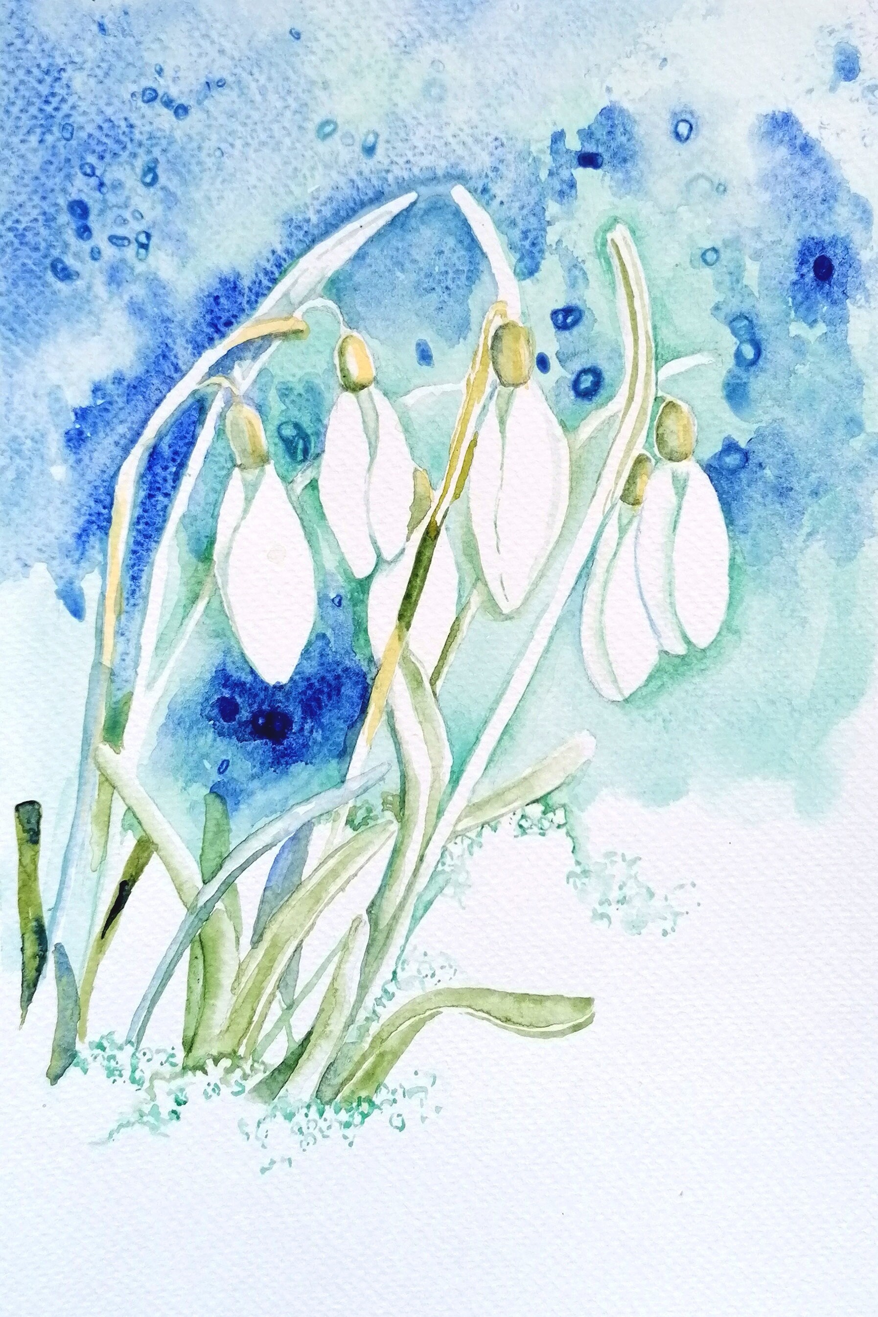 WINTER SNOWDROPS a Flower Original Watercolour Painting by ...
