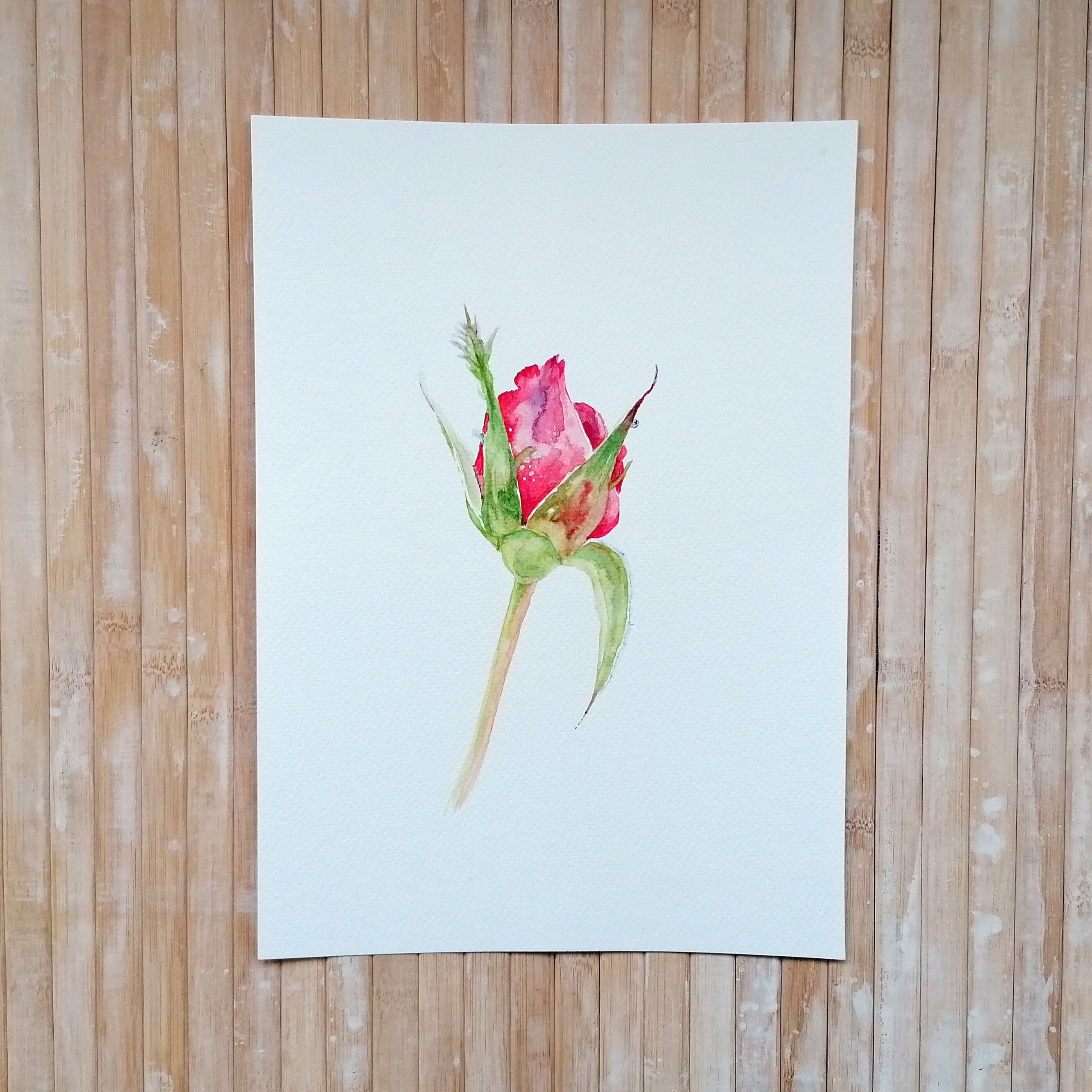 A Single Deep Crimson Rose Bud - Flower Original Watercolour Painting ...