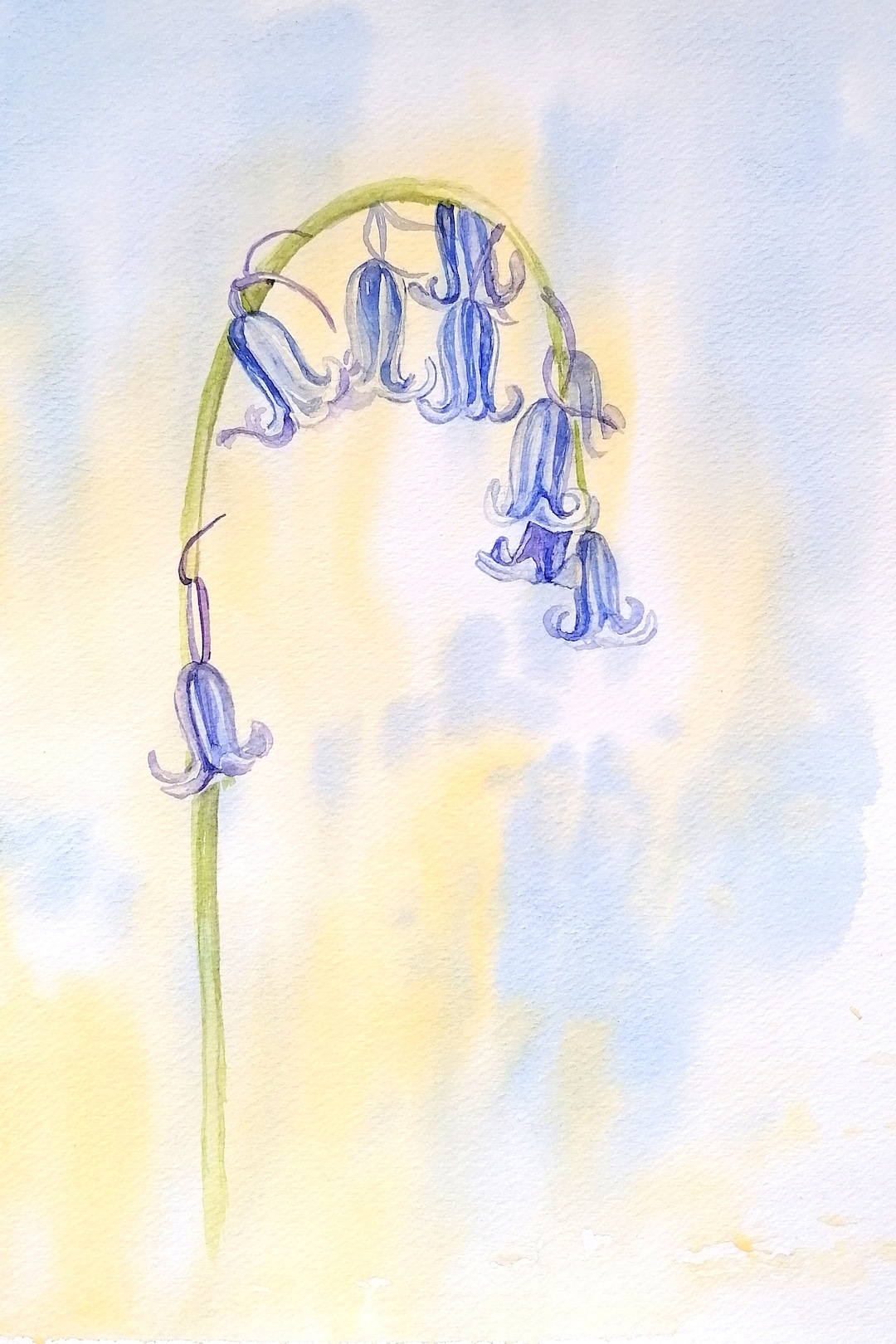 ARCH OF BLUEBELLS, Flower Watercolour Original Painting by ...