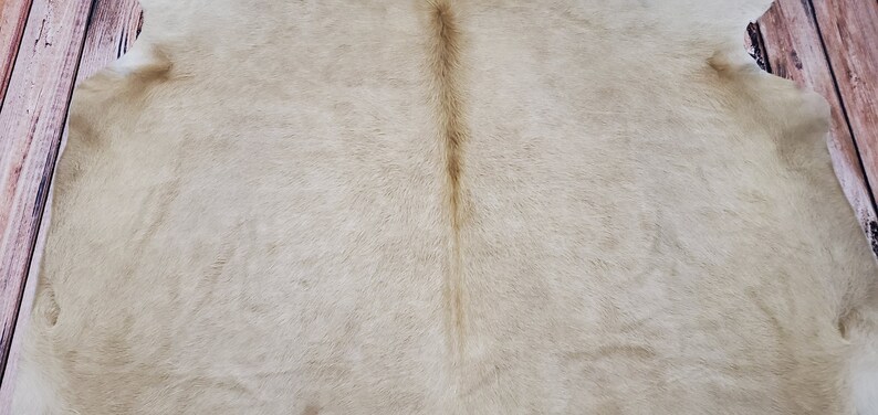 Light Beige Cowhide Rug 88 X 79 Inches 7024 - Etsy