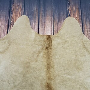 Light Beige Cowhide Rug 88 X 79 Inches 7024 - Etsy