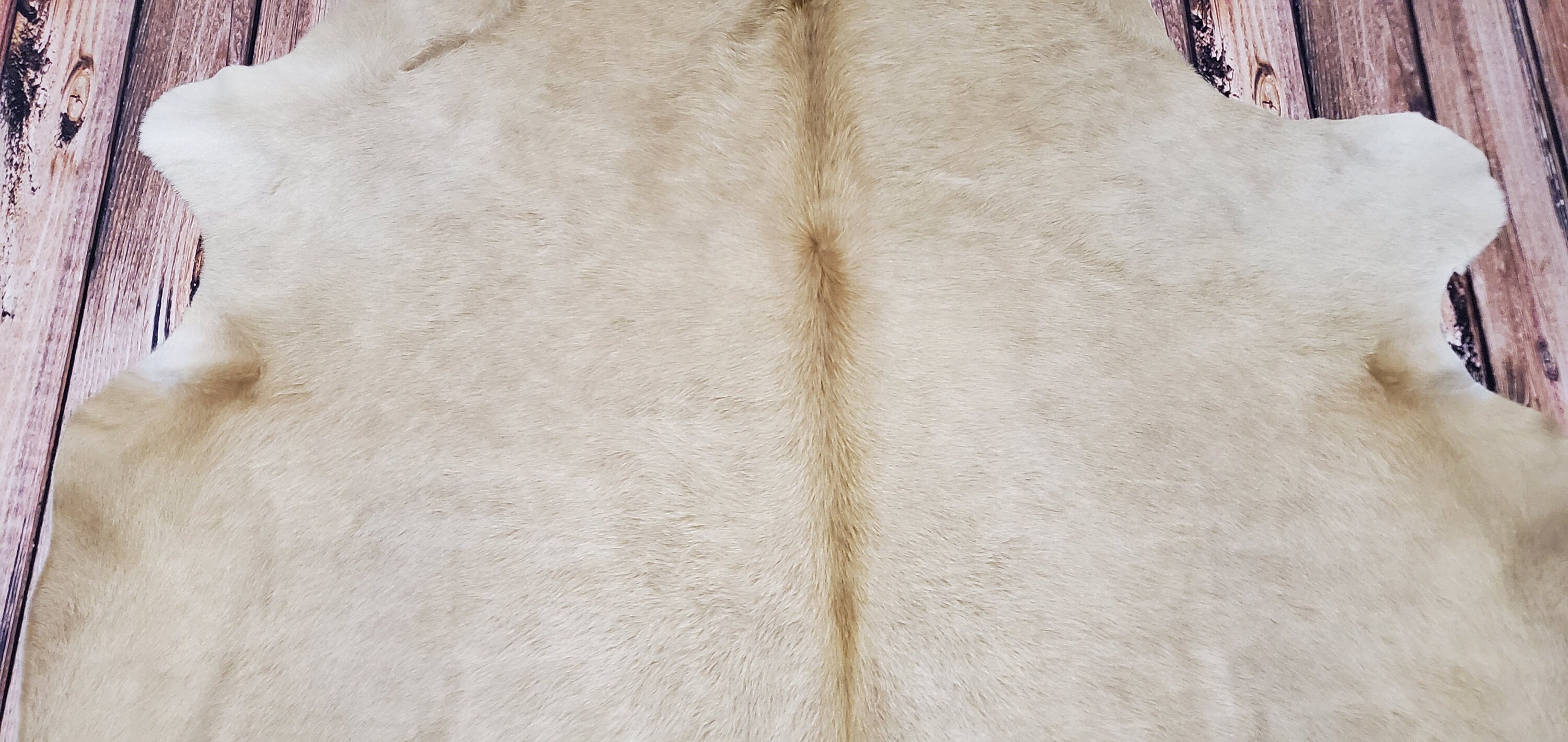 Light Beige Cowhide Rug 88 X 79 Inches 7024 - Etsy