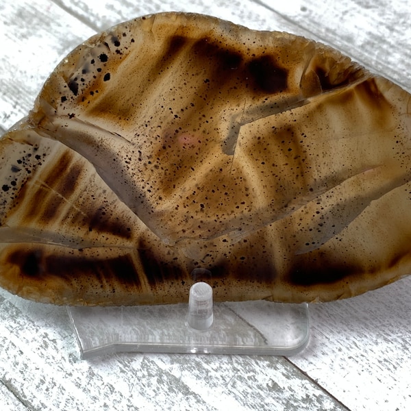 Montana Moss Agate - Etsy