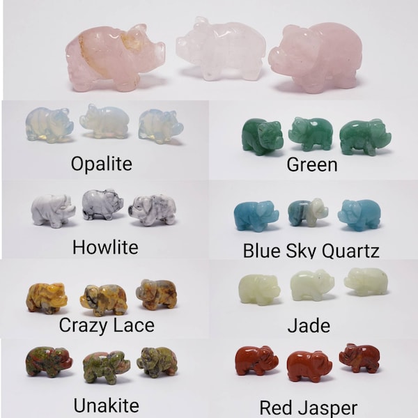 Mini Pig Supplies - Etsy