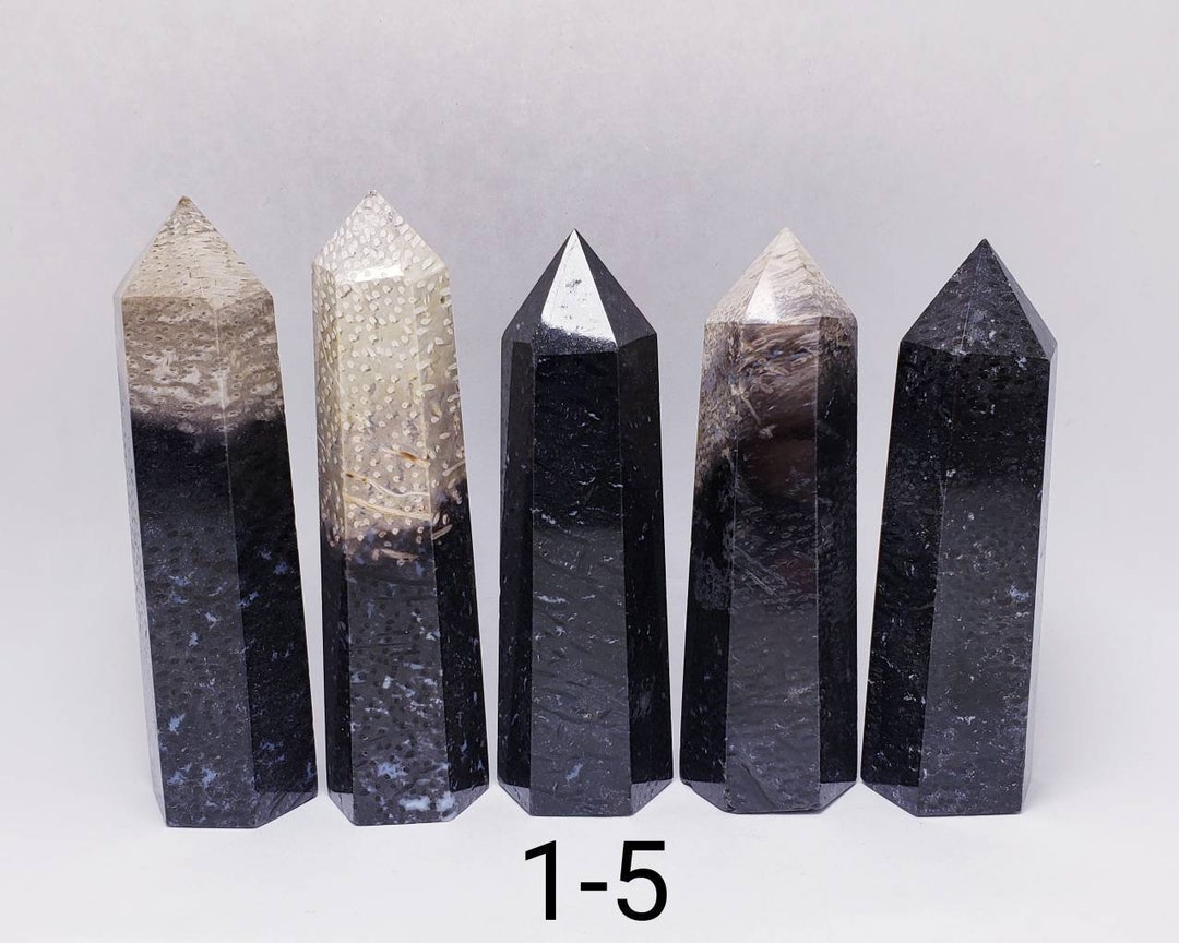 Torre de raíz de palma petrificada tú eliges - Etsy España