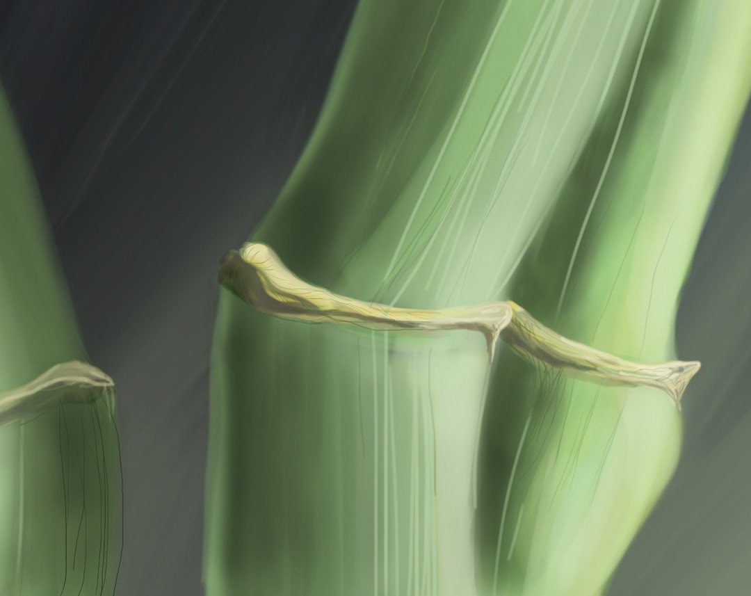 BAMBOO Digital Still Life | Digital Art | Plant Art | Observational ...