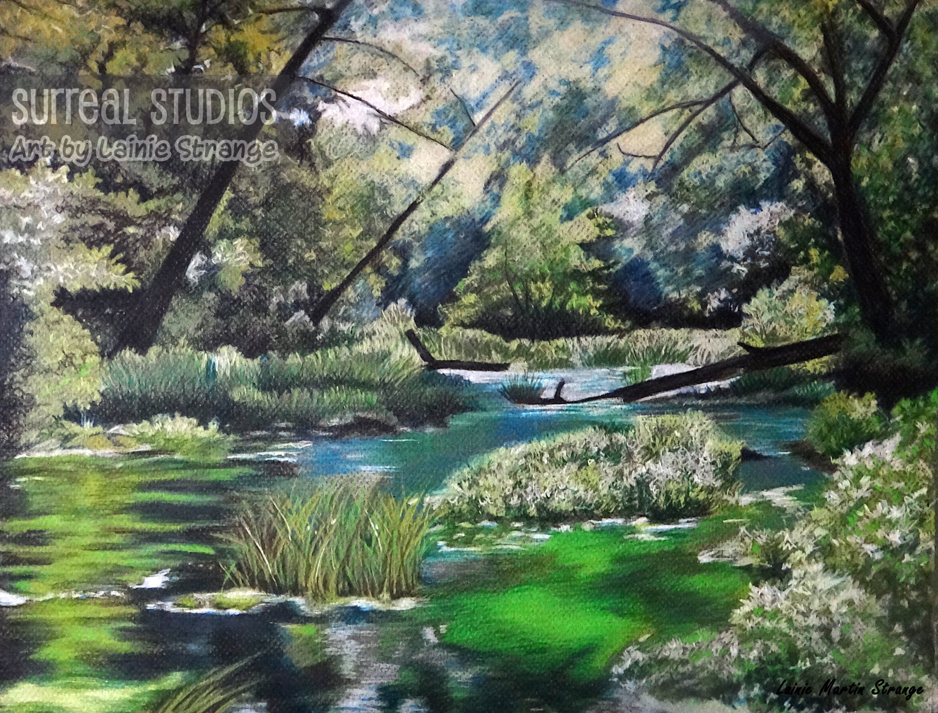 Current River - Southeastern Ozarks Art Print - Etsy