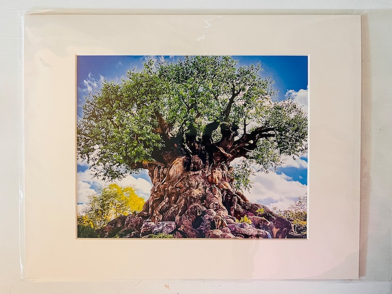 8 X 10 Photo of the Disney Tree of Life in Walt Disney World Animal ...