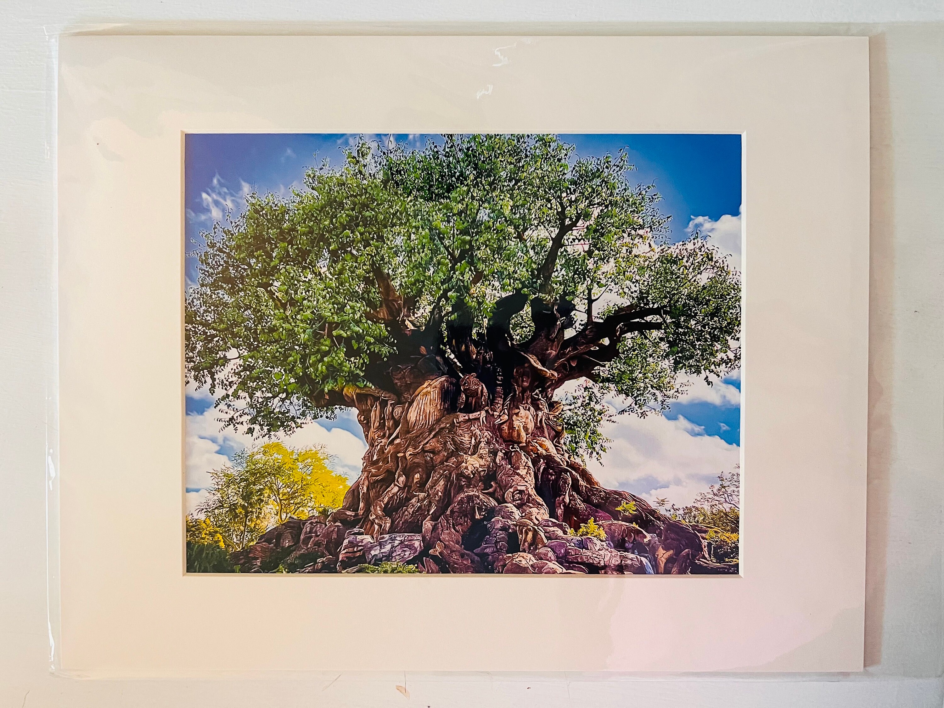 8 X 10 Photo of the Disney Tree of Life in Walt Disney World Animal ...
