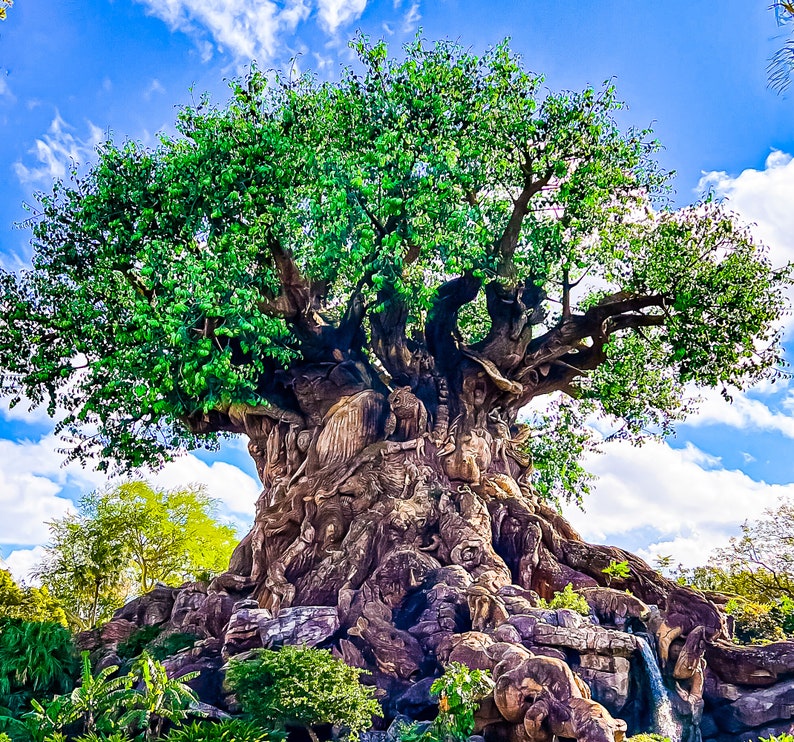 8 X 10 Photo of the Disney Tree of Life in Walt Disney World Animal ...