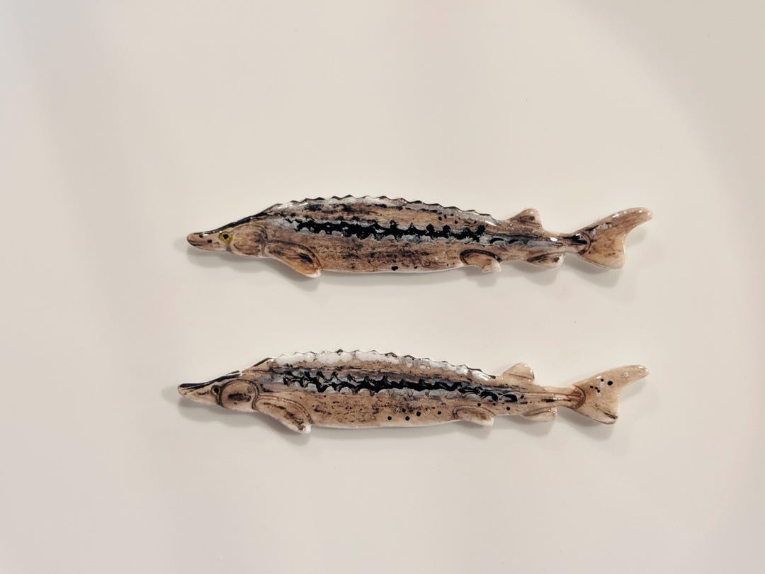 Polymer Clay Sturgeon Magnet - Handcrafted Lake Fish Art - Etsy