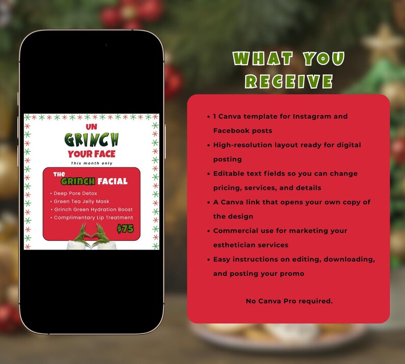 Grinch Christmas Promo Template for Estheticians | Holiday Spa ...