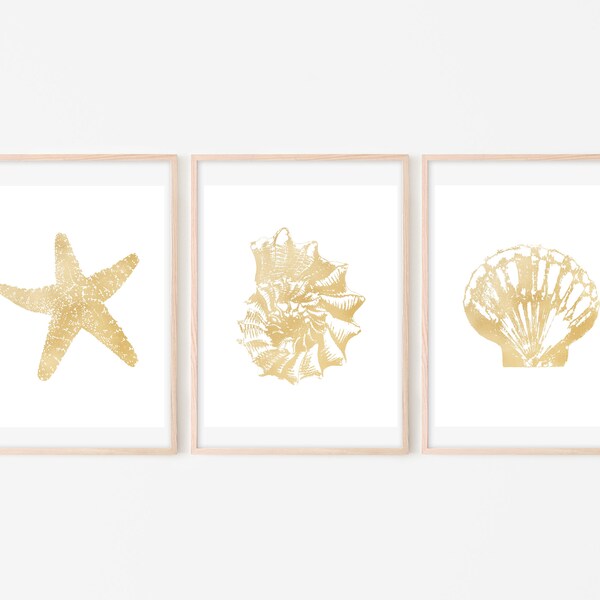 Gold Seashell - Etsy