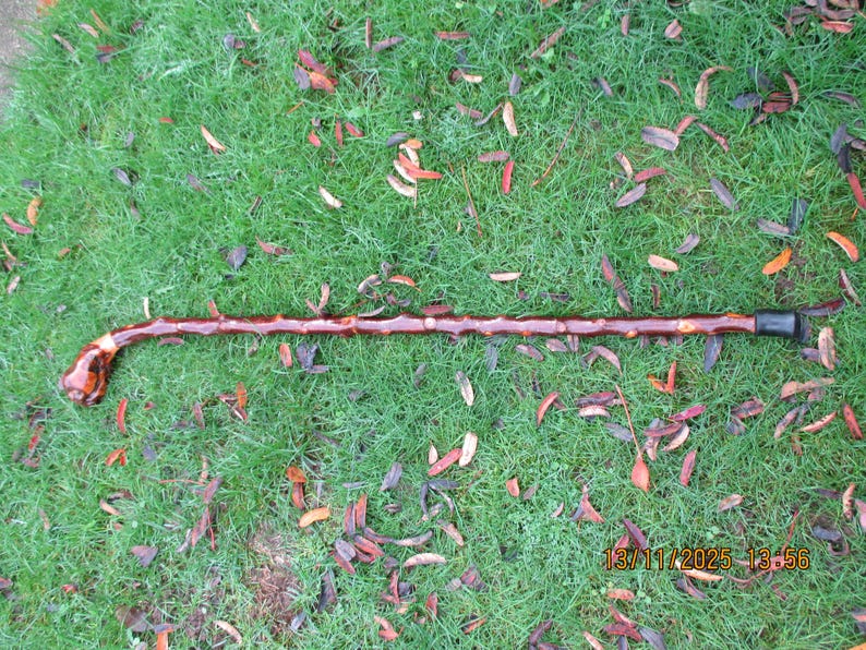 Blackthorn Walking Stick , All One Piece , No Filler or Stain Used . A ...