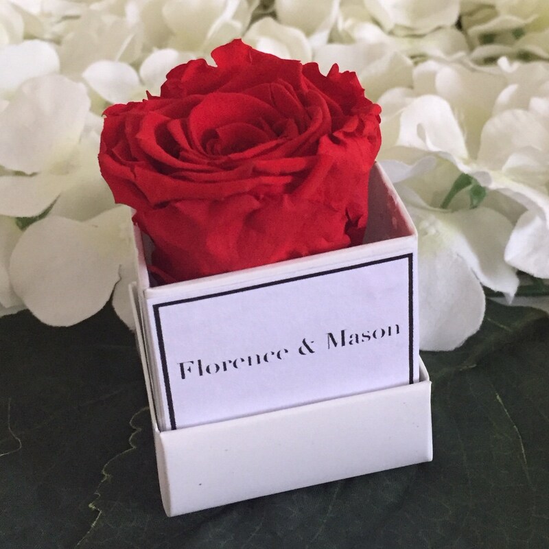 Single Everlasting Rose - Etsy UK