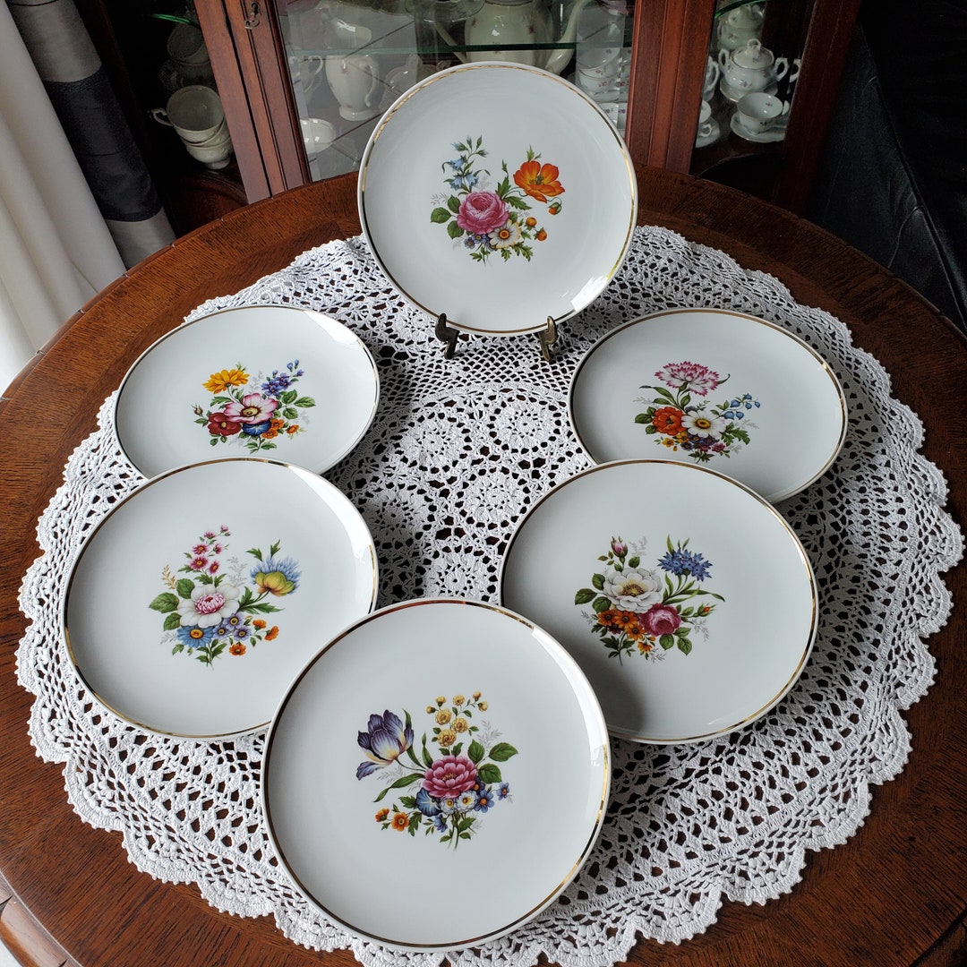 Rarity! 6 Alt Fürstenberg Dinner Plates, Dinner Plates, Decor "colorful ...