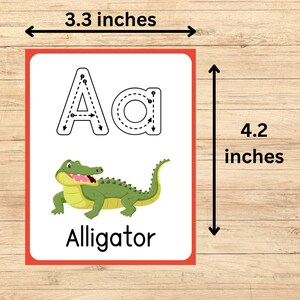 Alphabet Flash Cards, Montessori Educational Activity, ABC Learning, A ...