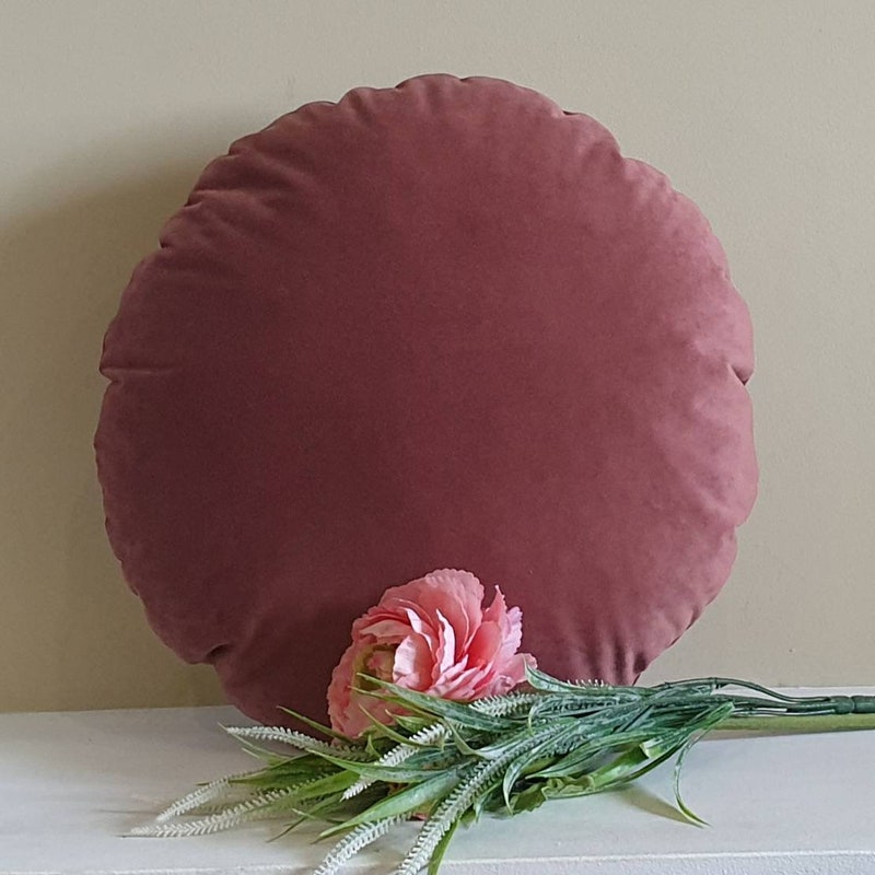 Blush Throw Pillow - Etsy