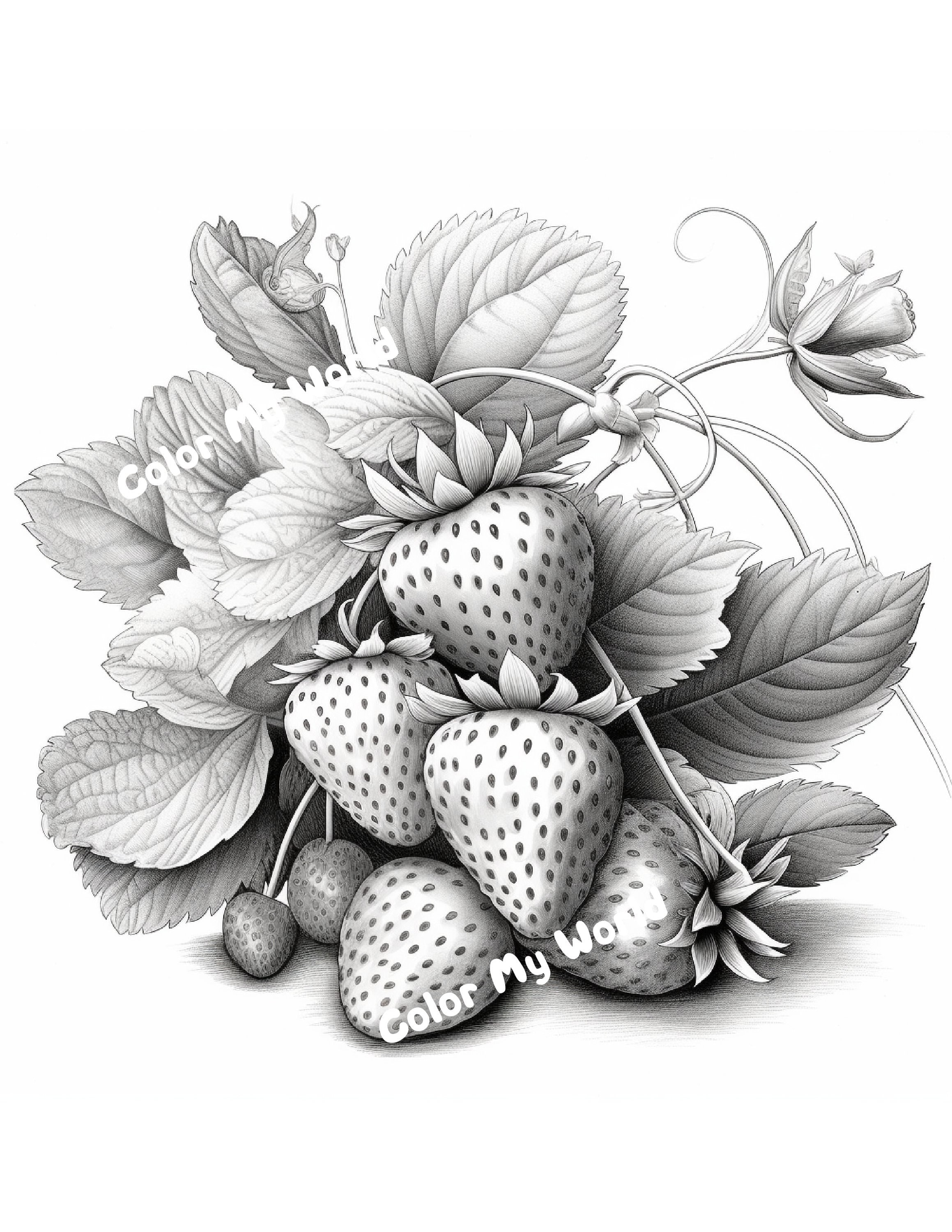 Strawberry Greyscale Coloring Page - Etsy