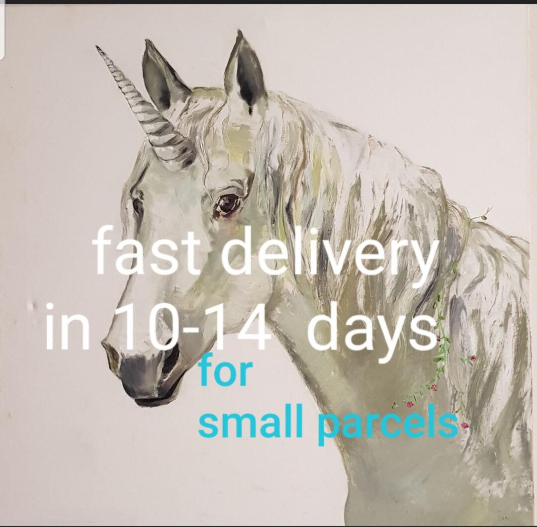 Extra Shipping Costs! Urgently My Order! - Etsy