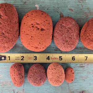 Lake Erie Beach Brick - Beach Stones - Terra Cotta - Beach Decor - Set ...