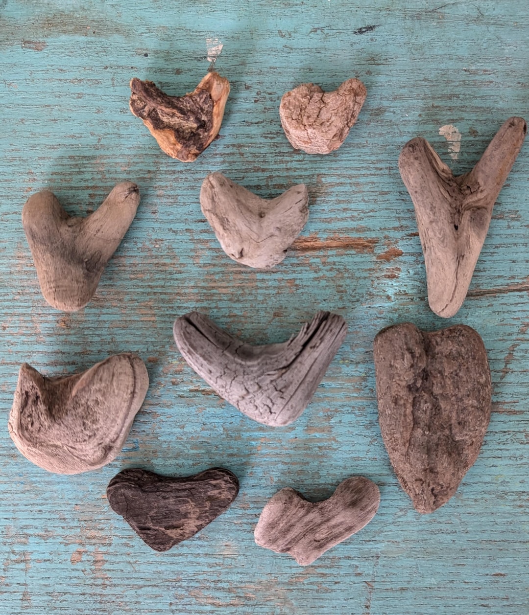 Heart Shaped Lake Erie Driftwood, Rare, Set of 10 - Etsy