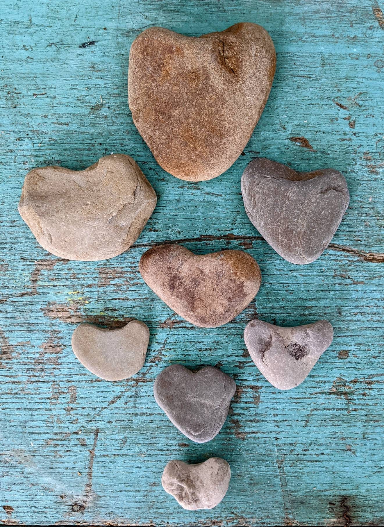 Heart Shaped Beach Rocks Lake Erie Set of 8 - Etsy