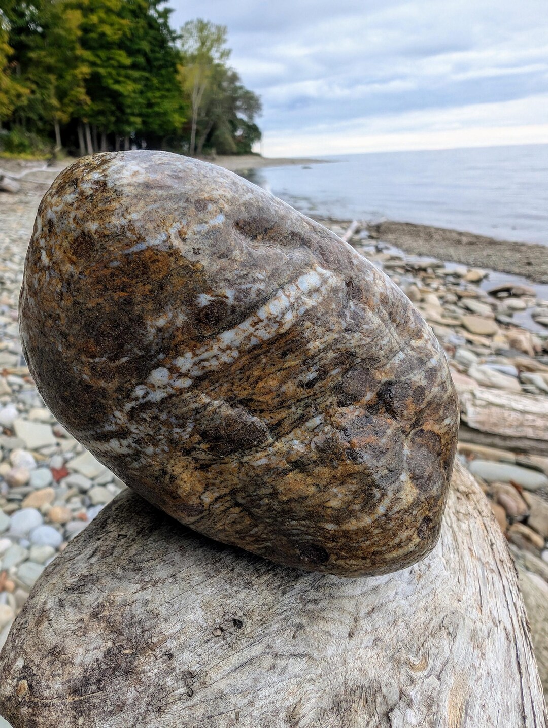 Lake Erie Rock - Gorgeous Beach Stone - Doorstop - Aquarium - Terrarium ...