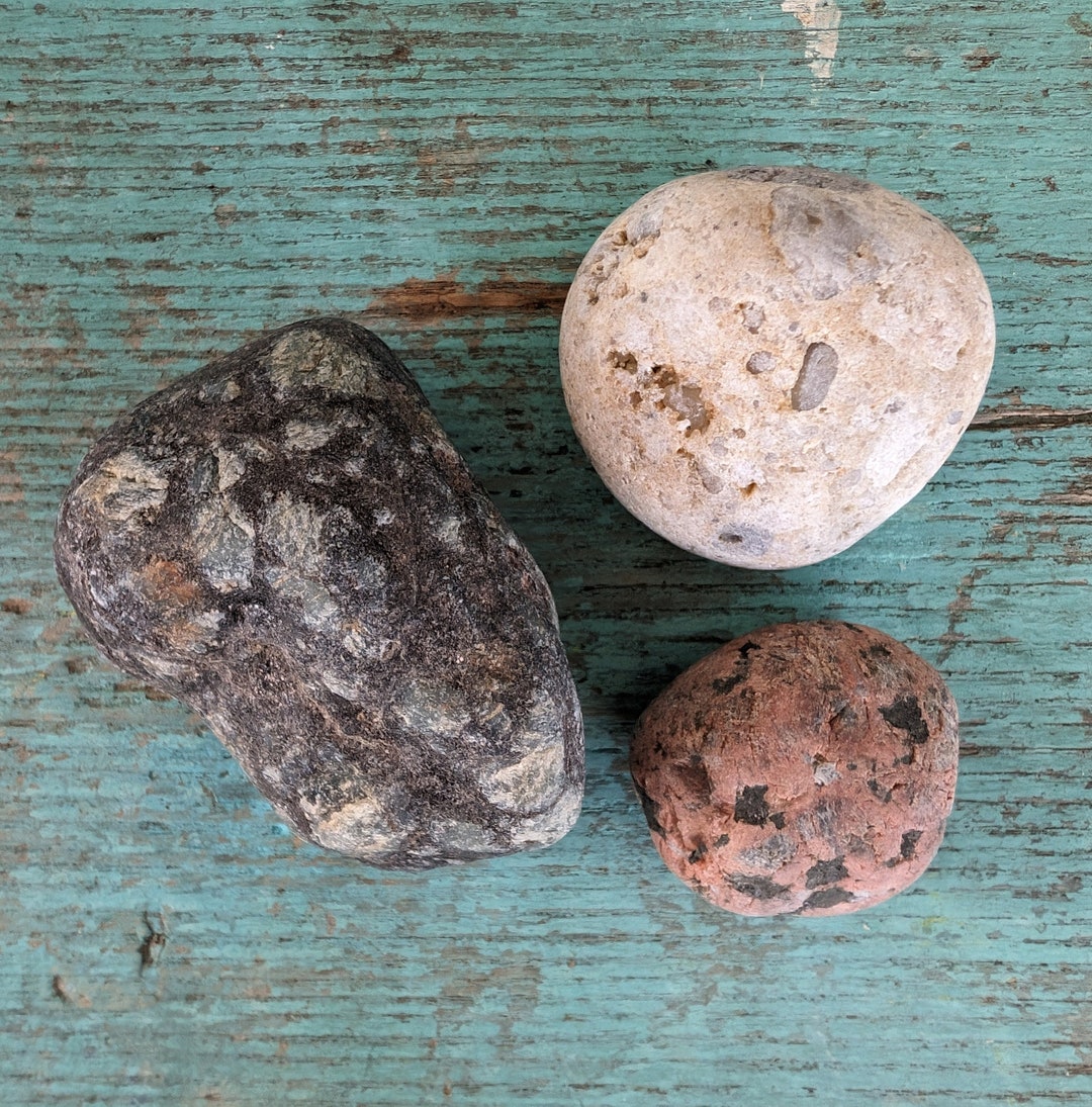 Great Lakes Pudding Stones - Pebble Conglomerate - Paperweight ...