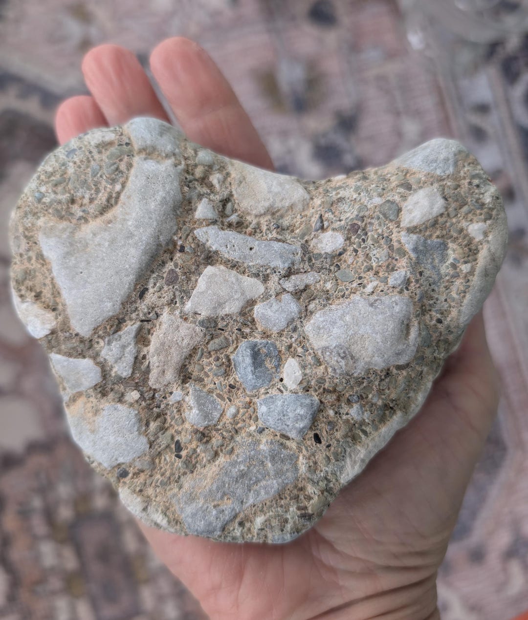 Lake Erie Heart Shaped Conglomerate Stone Rare - Etsy
