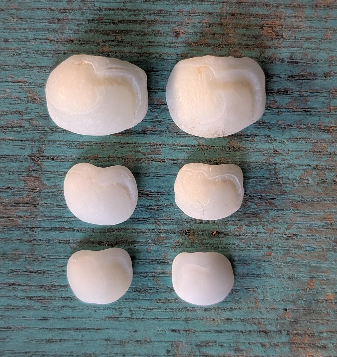 Otoliths - Lucky Stones - Lake Erie Otoliths - Set of 6 - Etsy
