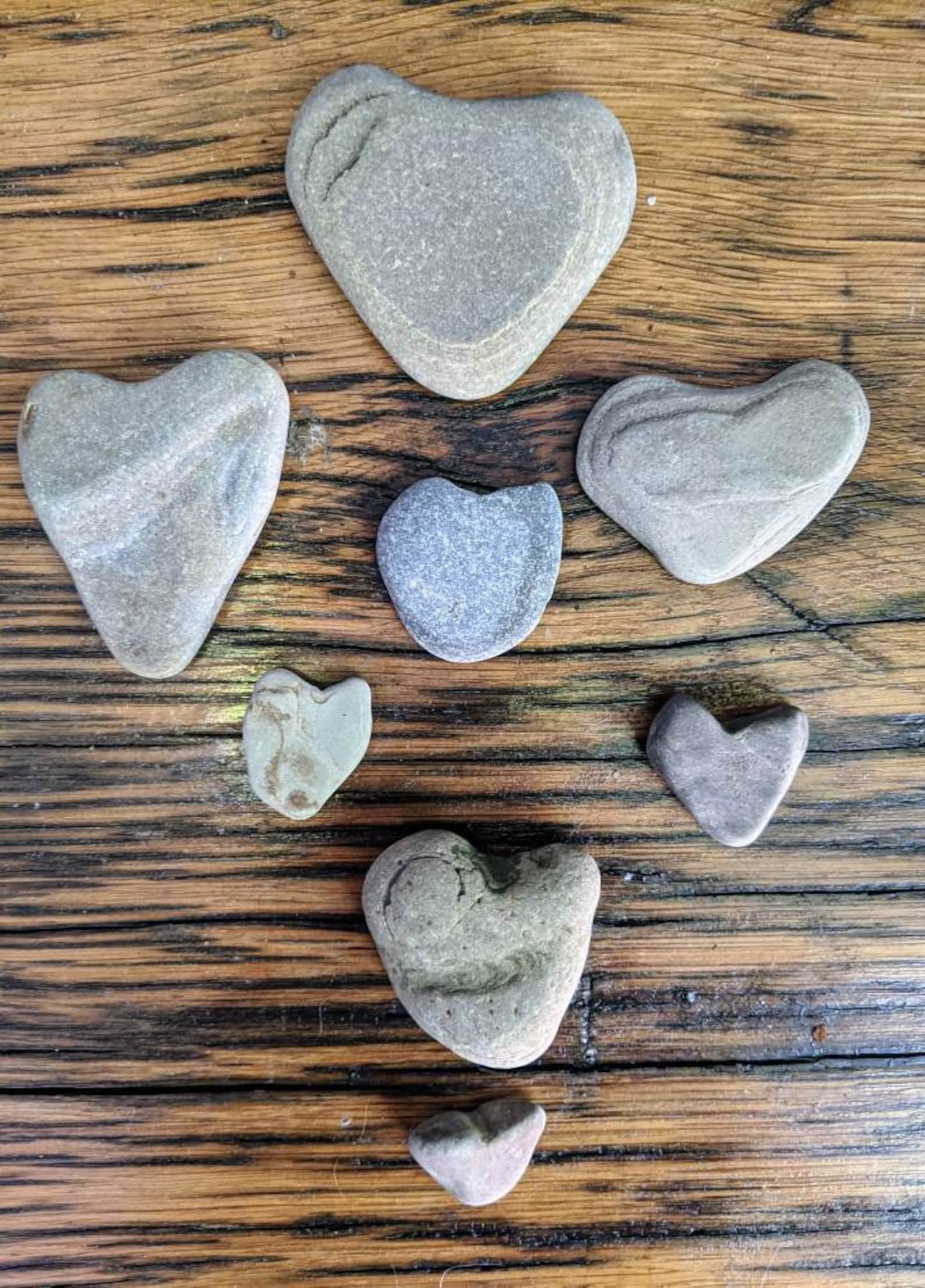 Heart Shaped Beach Rocks Lake Erie Set of 8 - Etsy