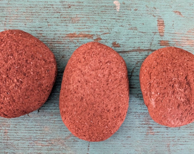 Lake Erie Beach Brick - Beach Brick Stones - Terra Cotta - Beach Decor ...