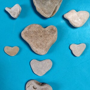 Heart Shaped Beach Rocks Lake Erie Set of 8 - Etsy