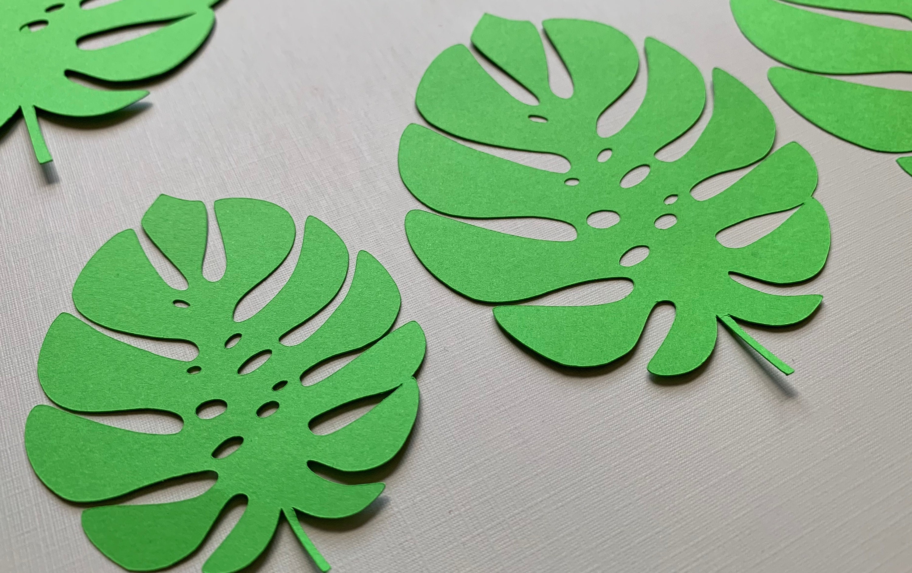 Tropical Palm Leaves Cut out Leaves Pre Cut Palm Leaf | Etsy