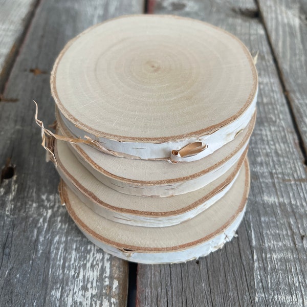 Birch Tree Slices - Etsy
