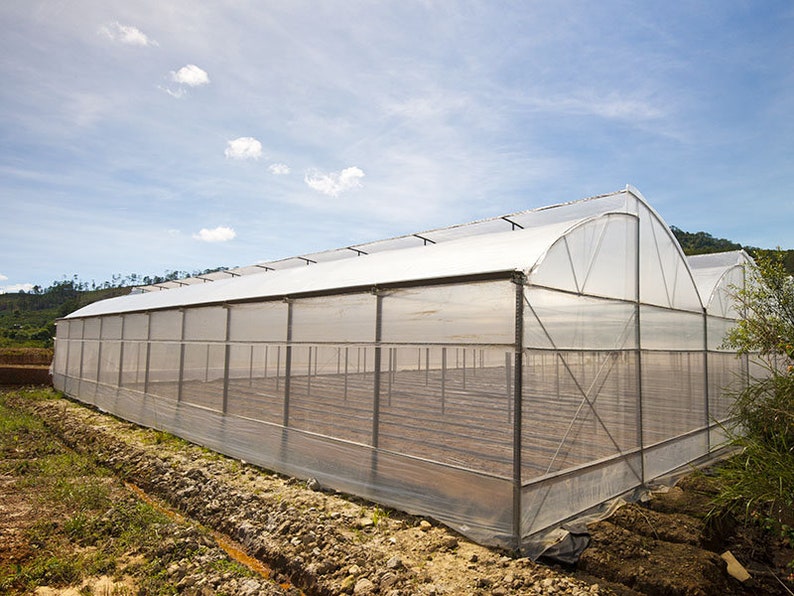 Greenhouse Plastic Film Clear Polyethylene 6 Mil 4 Year UV Resistant ...