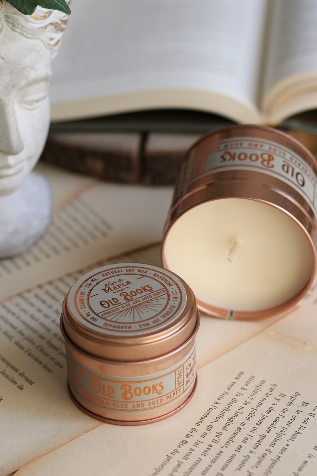 OLD BOOKS Candle Book, Old Book, Library, Soy Candle, Dark Academia ...