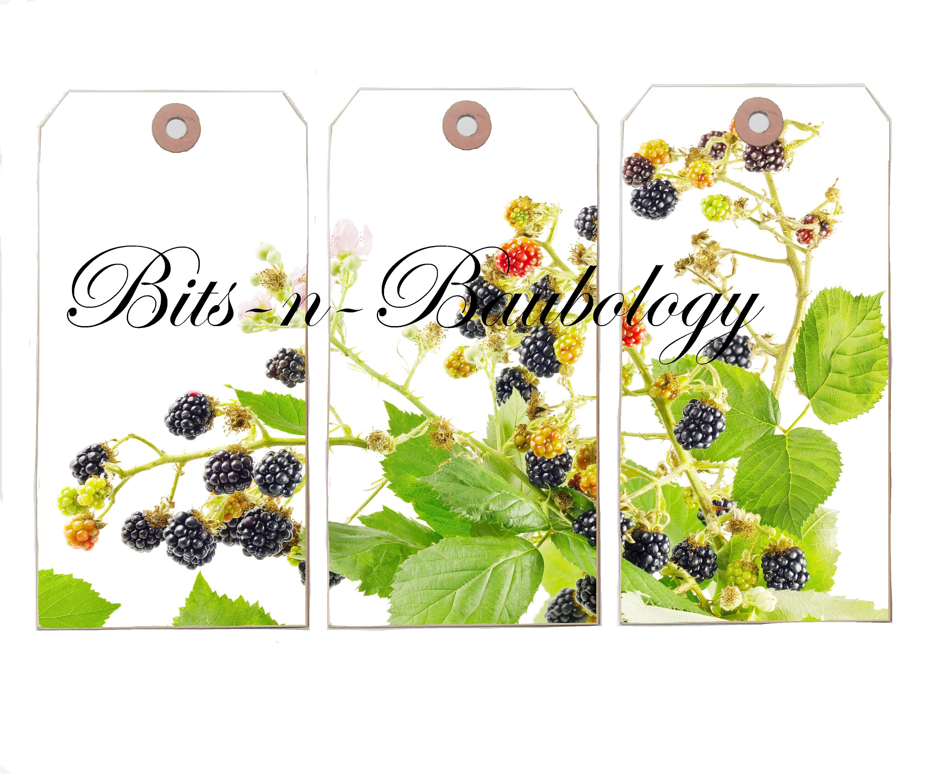 Nature Tags for Junk Journals - Etsy