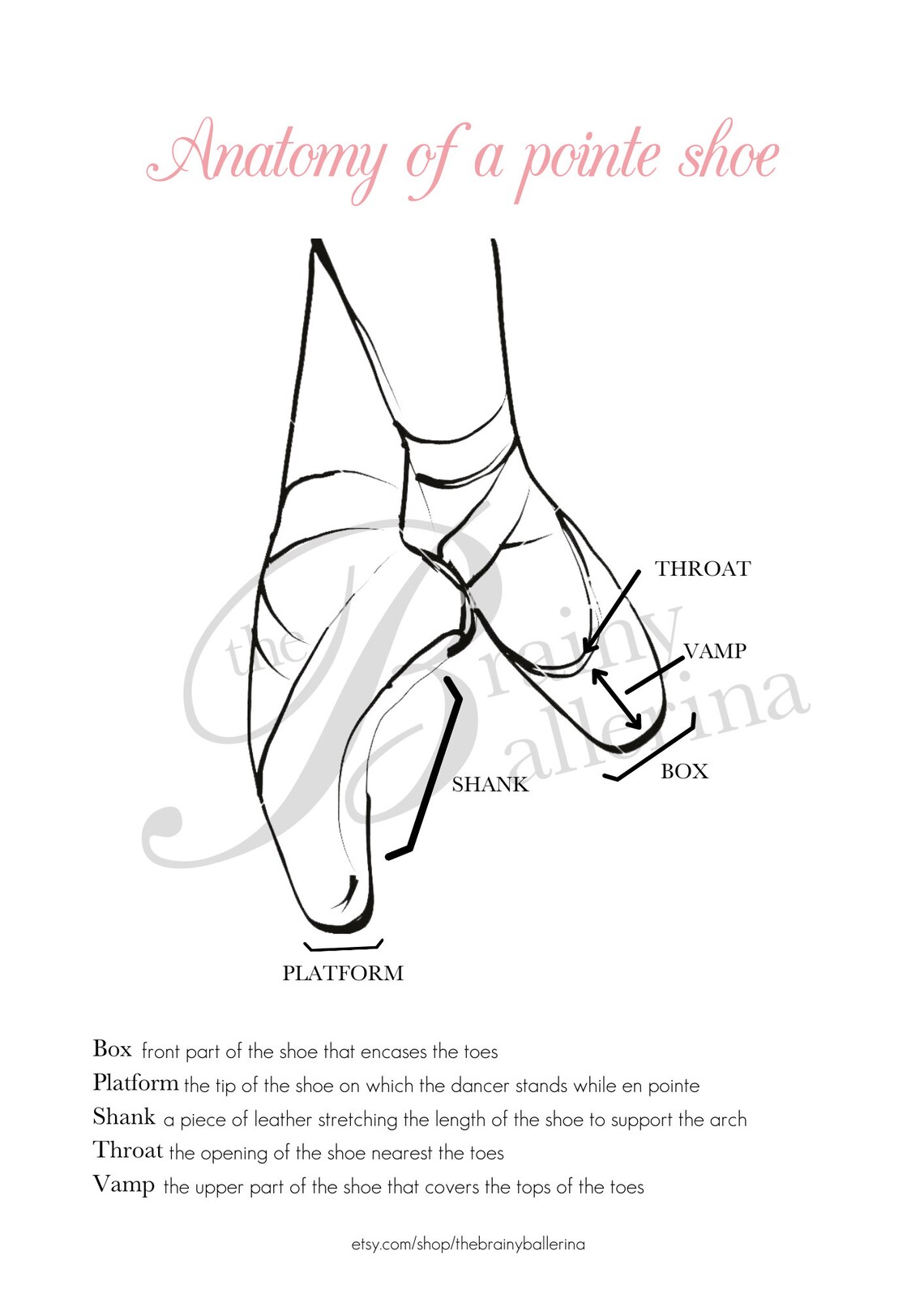 Guide to Pointe Shoes - Etsy