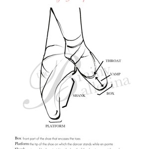 Guide to Pointe Shoes - Etsy