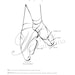 Guide to Pointe Shoes - Etsy