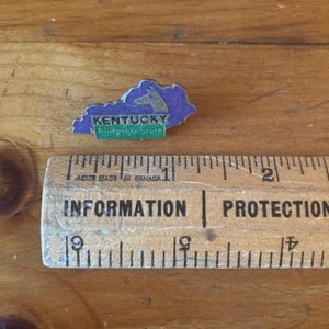 70s Kentucky Bluegrass State Enamel Lapel Pin Vintage 1970s Shape ...