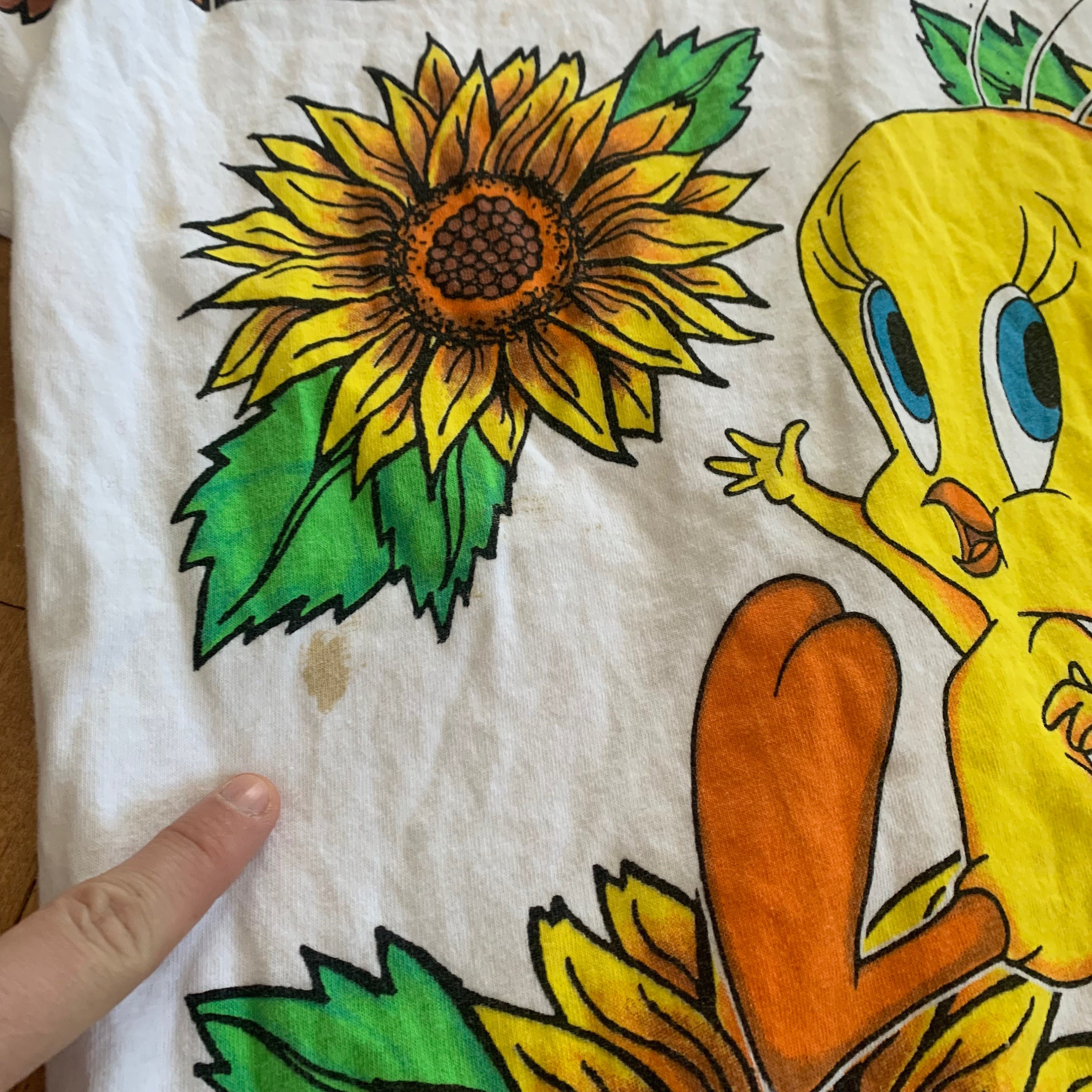 Tweety Bird Holding A Flower