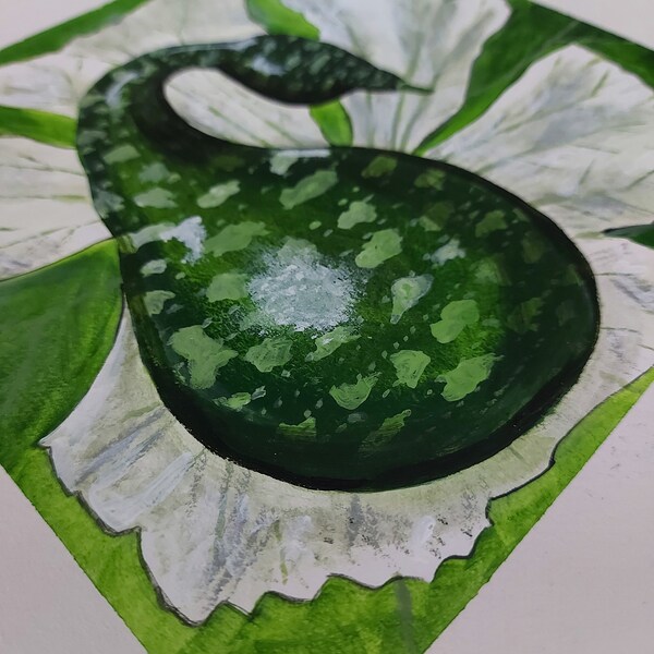 Swan Gourd - Etsy